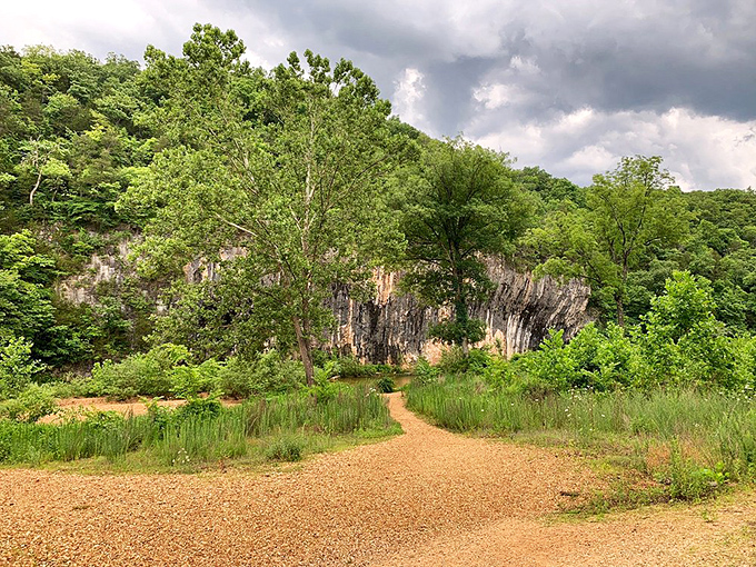 The approach to Echo Bluff feels like discovering a movie set for "Jurassic Park: Ozark Edition." Nature's cathedral awaits at the end of this inviting path.