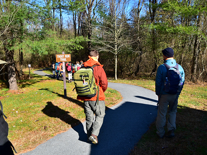 Trout Run Trail welcomes hikers of all abilities, offering the perfect blend of accessibility and wilderness just a short drive from home.