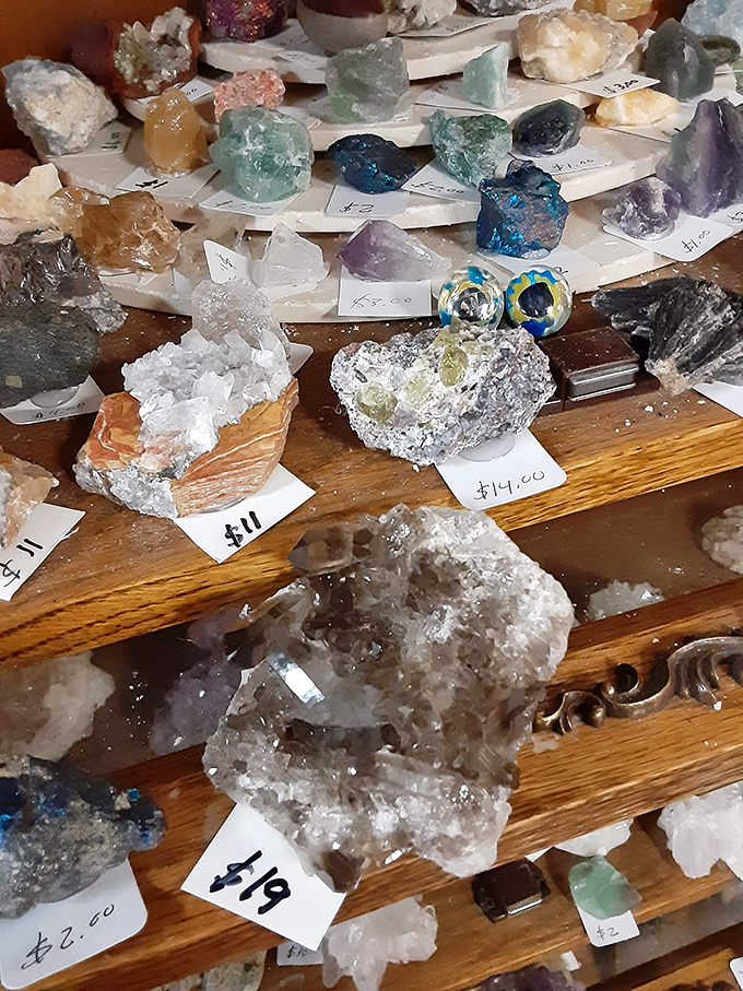 Nature's jewelry box spilled open! These labeled crystals and geodes prove that sometimes the earth's leftovers make the most dazzling treasures.