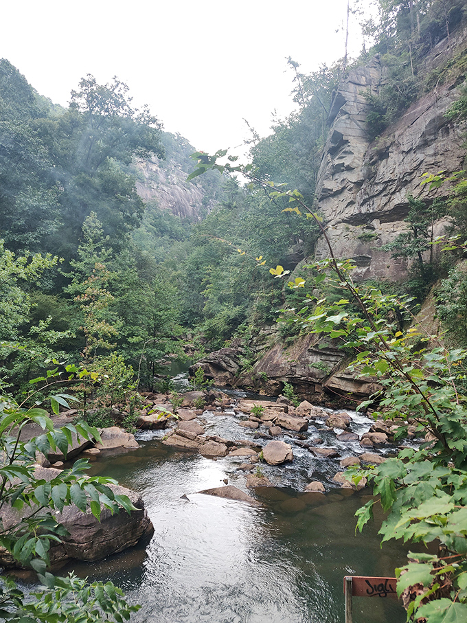 This serene forest stream sets the perfect mood music before the main event &ndash; nature's warm-up act for the waterfall crescendo.