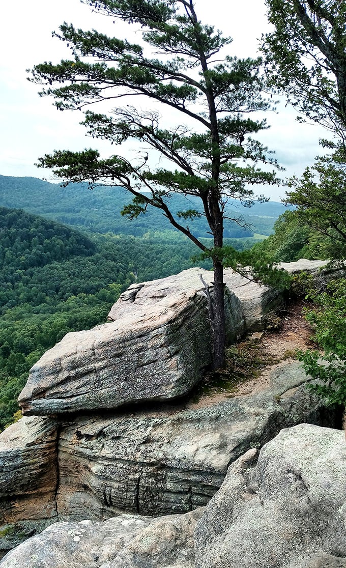 Nature's perfect meditation spot. This rock formation has been offering perspective adjustments and panoramic views long before therapy was invented.