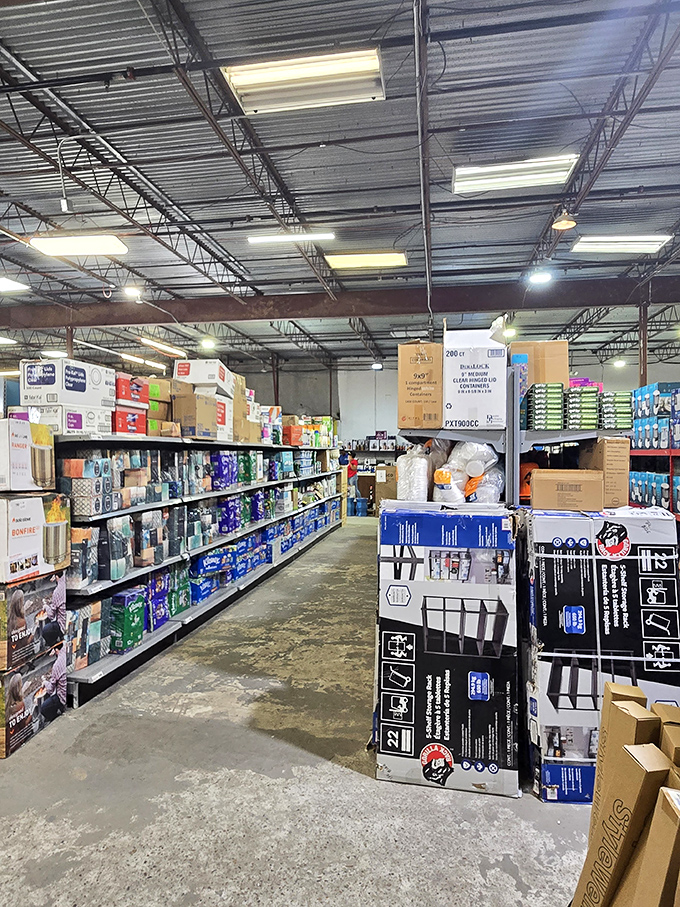 Organized chaos at its finest &ndash; shelves packed with household essentials that transform shopping into a treasure hunt.