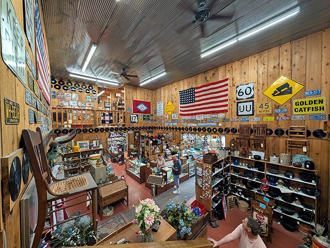A bird's-eye view of organized chaos, where license plates and vinyl records frame a wonderland of collectibles. It's like "I Spy" for grown-ups.