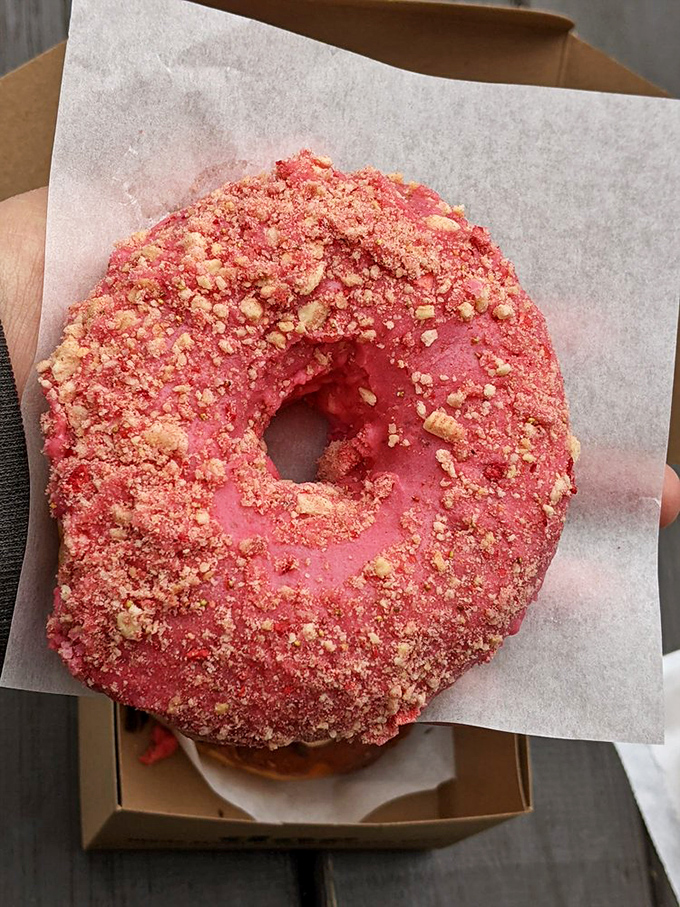A donut wearing a cinnamon-sugar coat that would make any pastry jealous. The texture promises that perfect crunch-to-softness ratio we all crave. 