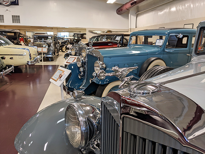 The museum's thoughtful layout guides visitors through automotive evolution, from the days when cars replaced horses to the chrome-laden chariots of the 1950s.