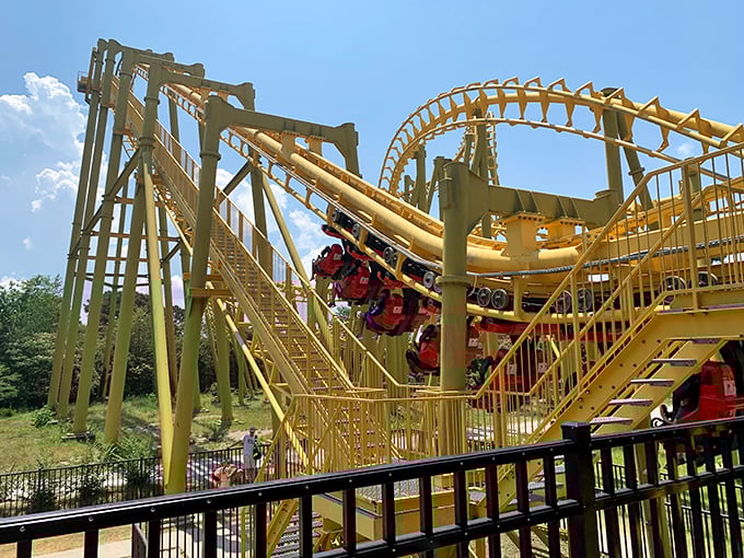 The Gauntlet's yellow tracks twist through Arkansas greenery, proving that sometimes the best views come right before you're turned completely upside down.