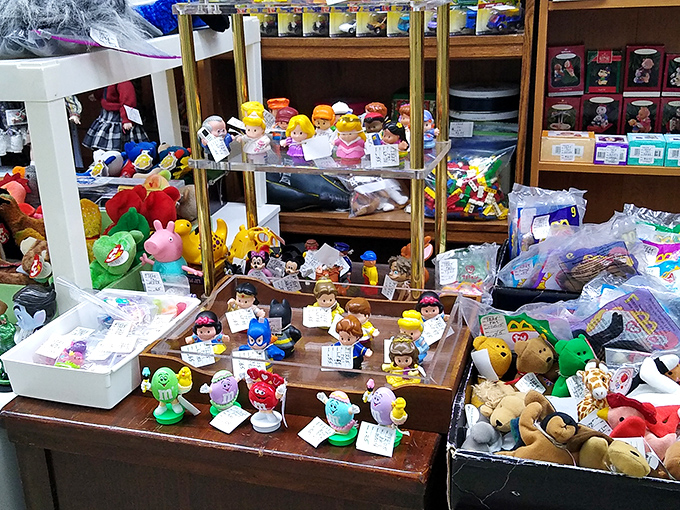 Childhood memories for sale! This collection of toys spans generations, proving that before screens, imagination came packaged in plastic, plush, and primary colors.