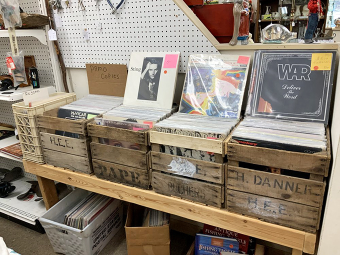 Vinyl heaven organized in wooden crates that tell their own stories. Each album cover is essentially a mini art gallery from another era.