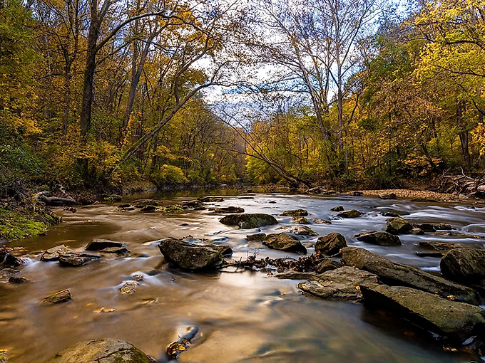 White Clay Creek tumbles over ancient stones, a natural soundtrack for hikers seeking respite from urban exploration.