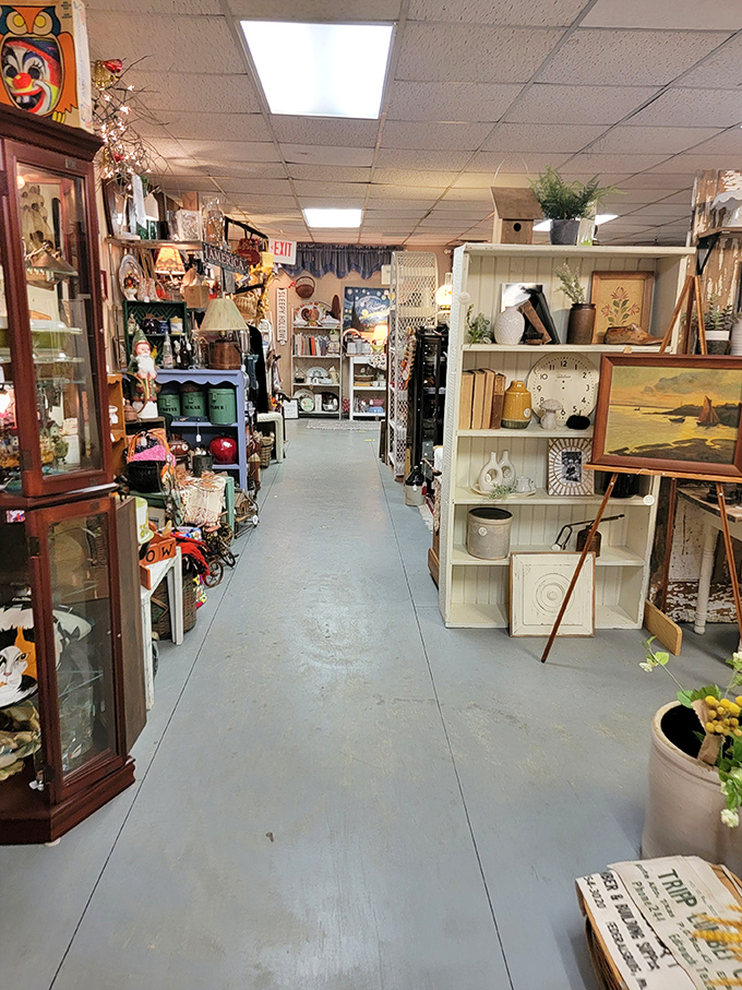 Down the rabbit hole you go! These aisles of carefully curated curiosities could turn a quick "just browsing" visit into a three-hour treasure expedition.