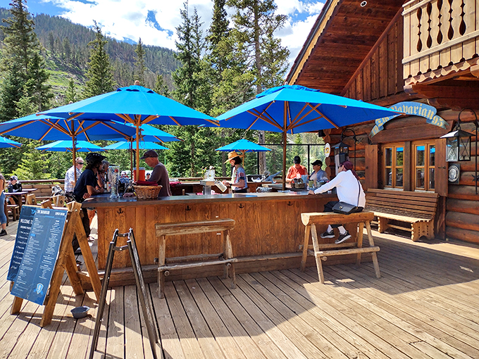 The bar area whispers stories of apr&egrave;s-ski celebrations, where strangers become friends over schnapps and shared mountain tales.