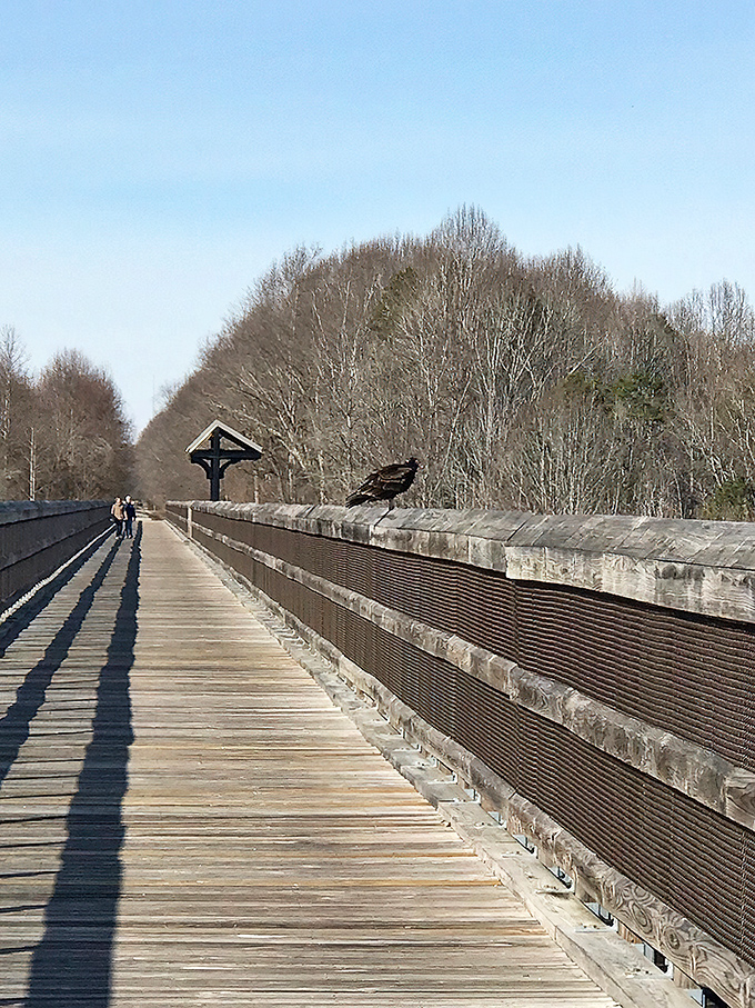 Bird watching opportunities abound—this feathered friend seems to be conducting an inspection of the bridge's safety features with impressive authority.