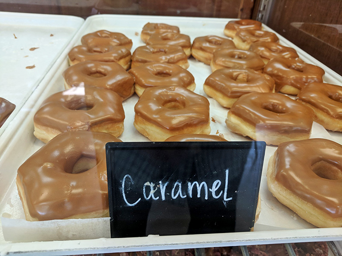 Caramel donuts lined up like sweet soldiers, each one perfectly glazed and waiting patiently for their moment of glory in your morning routine.