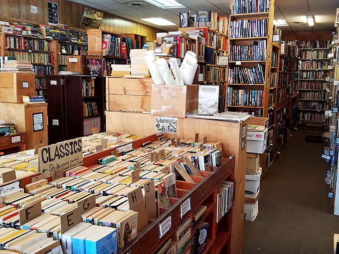 The classics section, organized with the precision of a library and the charm of your eccentric professor's personal collection.