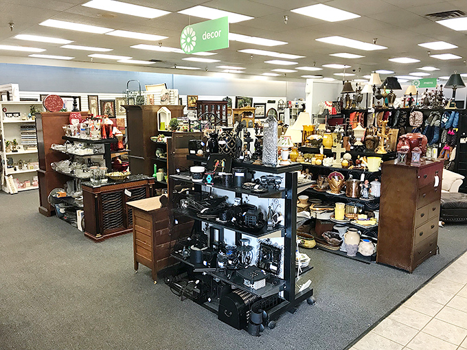 The d&eacute;cor section&mdash;where yesterday's treasures become tomorrow's conversation pieces. That vintage typewriter isn't just decoration; it's a time machine to a pre-autocorrect era.