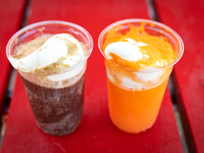 These aren't just drinks; they're liquid nostalgia with ice cream floats that transport you back to simpler, sweeter times.