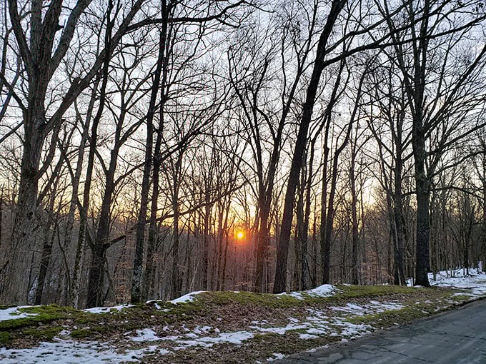 Winter's magic reveals itself in this sunset view, where leafless trees create nature's own stained glass against the fading light.