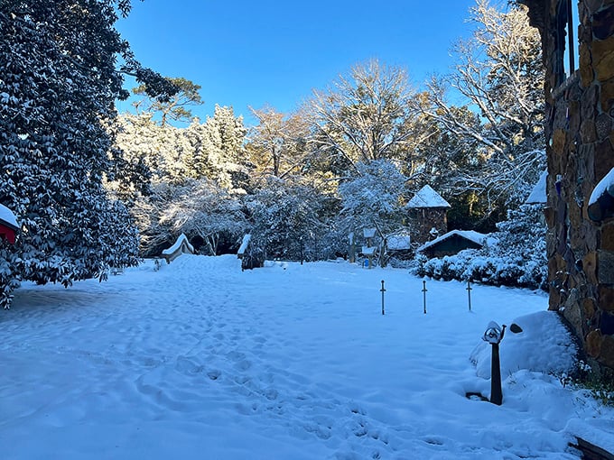 Winter transforms the castle grounds into a snow-covered wonderland that would make Narnia's White Witch reconsider her decorating choices.
