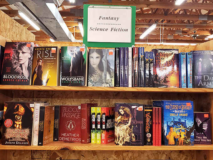 Fantasy and sci-fi books standing at attention, ready to transport you to worlds where dragons are real and spaceships are the preferred method of commuting.