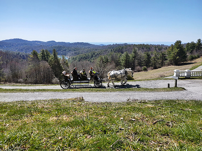 Horse-drawn carriages aren't just for Central Park. This mountain journey moves at exactly the right speed for appreciating views that deserve more than a drive-by glance.