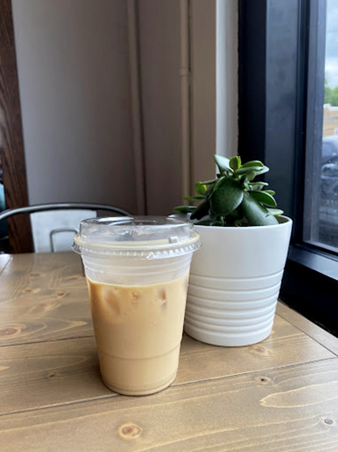 Window seat, succulent companion, and coffee that makes Monday feel like Friday &ndash; some pleasures are simple yet profound.