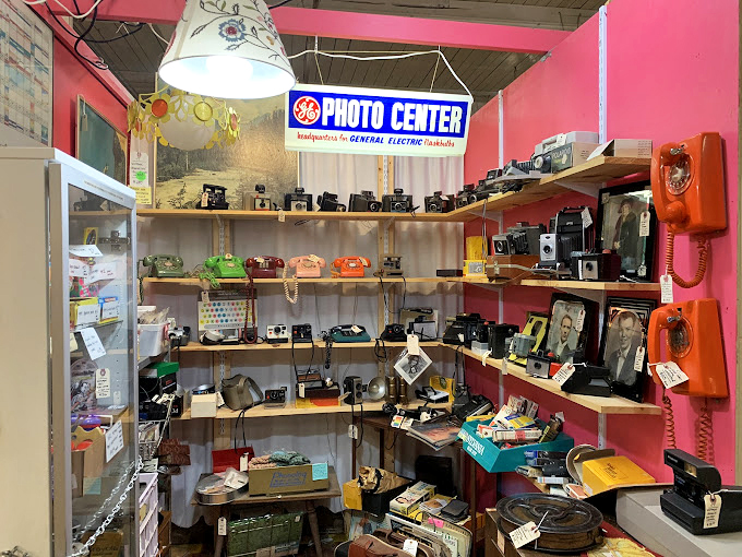 Vintage camera heaven for photography enthusiasts—each shelf holds devices that once captured someone's precious memories on actual film.
