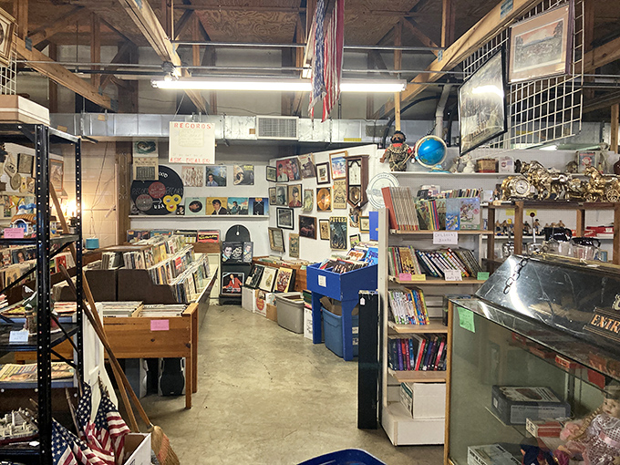 Vinyl enthusiasts can lose hours flipping through these meticulously organized record bins. Each album cover is a time capsule of artistic expression.