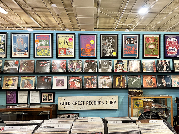 Rock history displayed vertically&mdash;album covers that once defined generations now serve as both art and portals to musical memories.