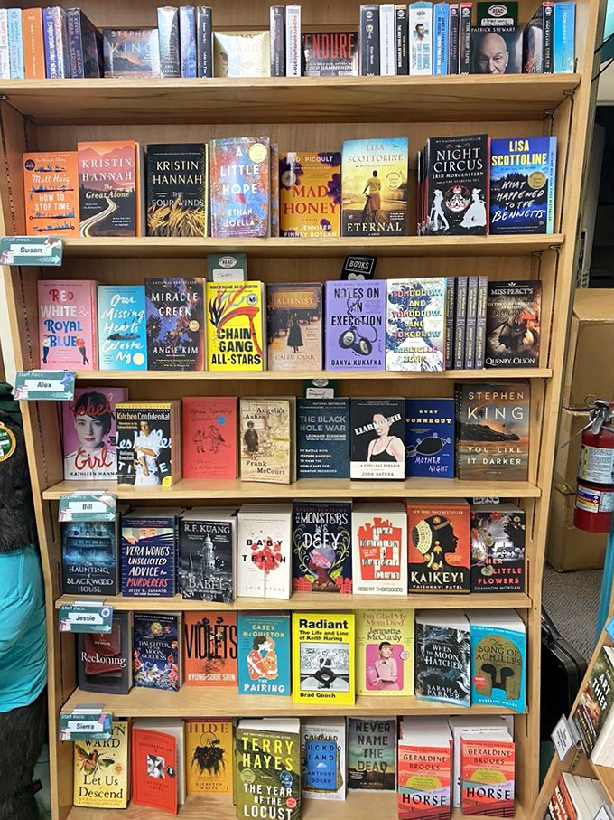 The staff recommendations shelf—where passionate readers become your personal literary matchmakers without the awkward first-date questions.