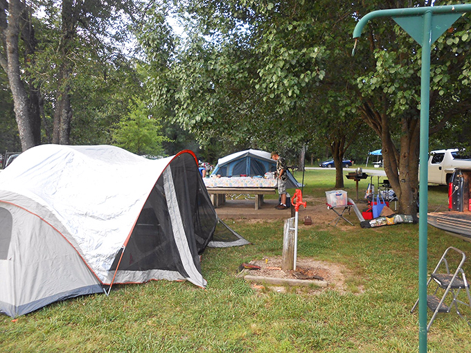 Camping nirvana &ndash; where your temporary backyard comes with more trees than a national forest and better views than most hotel rooms.