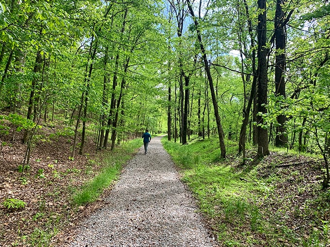 Petersburg's trails offer tranquility on a budget. This wooded path welcomes walkers and joggers to experience Virginia's natural beauty without membership fees.