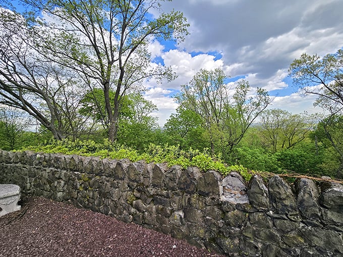 From this stone wall vantage point, visitors can survey the kingdom of trees that surrounds Kip's Castle like nature's own royal tapestry.
