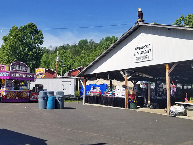 Friendship Flea Market: Where a population of 100 welcomes thousands of treasure hunters. The eagle watches over it all!