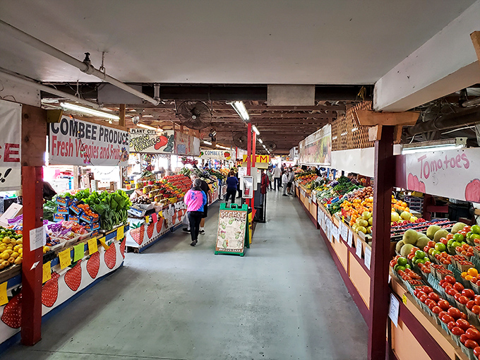 Clean aisles, endless possibilities. International Market World brings global treasures to Auburndale with modern shopping comfort.