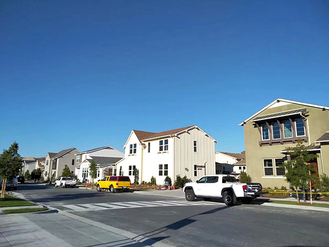 Historic mission architecture and palm trees create a timeless California scene where neighbors gather to watch the famous swallows return each spring.