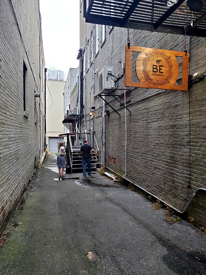 Follow the wooden sign down the alley to discover Wilmington's best-kept secret. The Blind Elephant's entrance is just the beginning of the adventure.