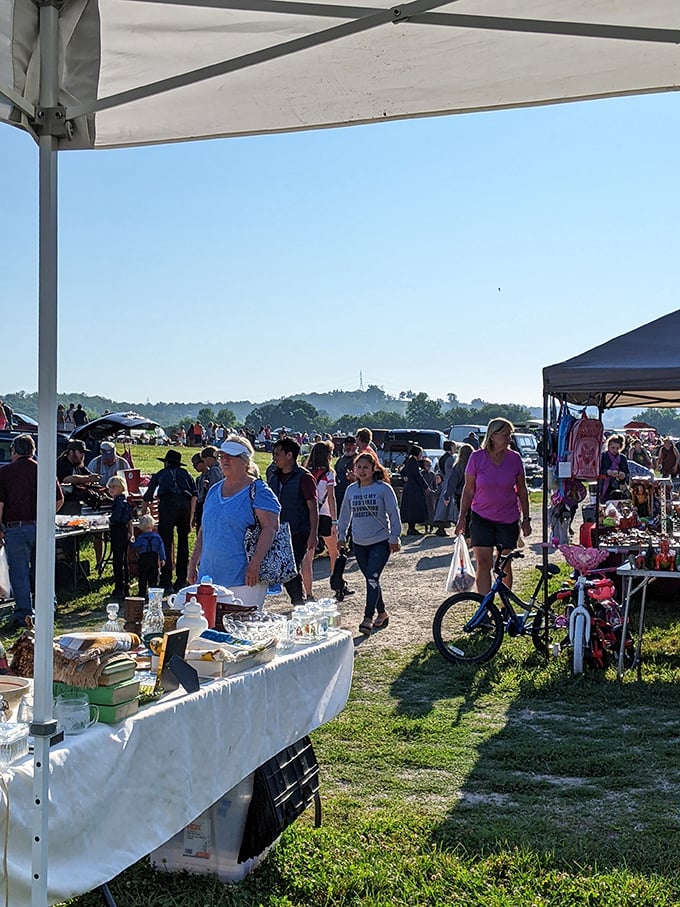 White's Farm transforms fields into retail therapy sessions. Where flowers, finds, and friendly faces create the perfect shopping trifecta.