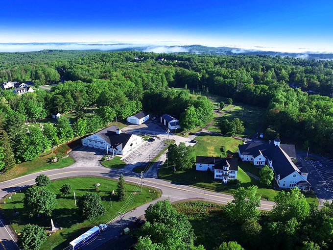 From above, Atkinson's patchwork of forests and fields shows Mother Nature at her most artistically ambitious.