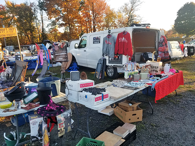 Weekend treasure hunt! The aerial view shows hundreds of shoppers navigating the maze of vendors at Blue Ridge Flea Market. 