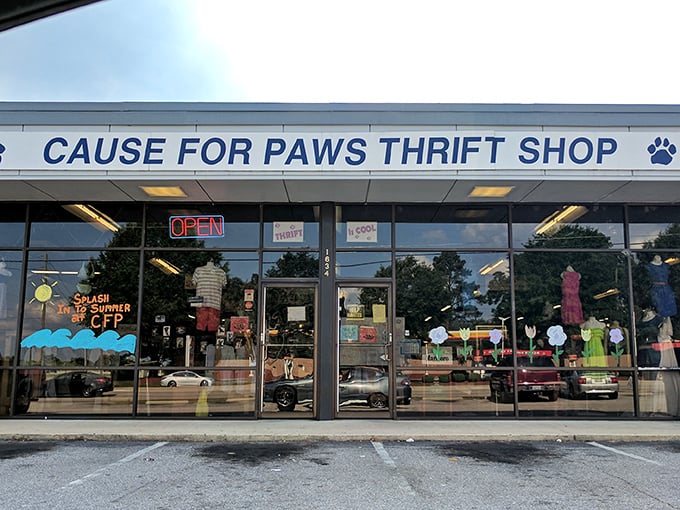Shopping with a purpose! Every dollar spent here helps furry friends find forever homes, making that vintage dress purchase twice as satisfying.