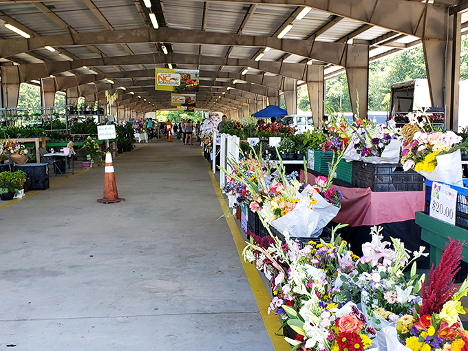 Garden center dreams come true! Where plant lovers gather to find their next leafy roommate or backyard companion.