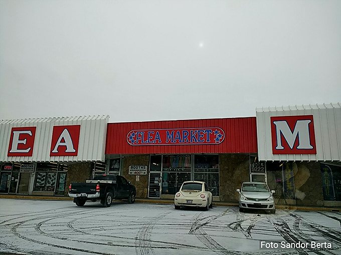 Inside Good Vibes, wooden booth dividers create a maze of mini-shops. Each turn reveals another nostalgic treasure waiting to be discovered.