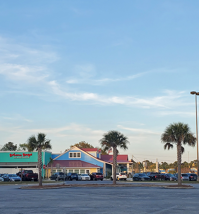 Palm trees line Goose Creek's streets, bringing tropical vibes without the tropical price tag to this affordable community.