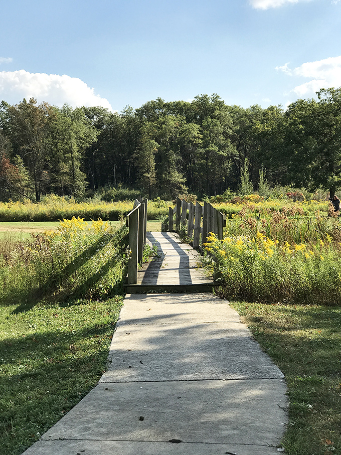 That wooden footbridge in Griffith isn't just crossing water—it's connecting neighbors to trails, parks, and each other.