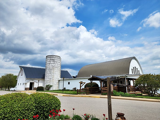 White barns and blue skies create the perfect backdrop for comfort food that tastes like grandma's kitchen.