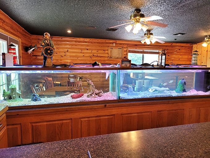 An aquarium display that reminds you exactly where your dinner came from – though these finned residents are strictly for admiring, not eating.