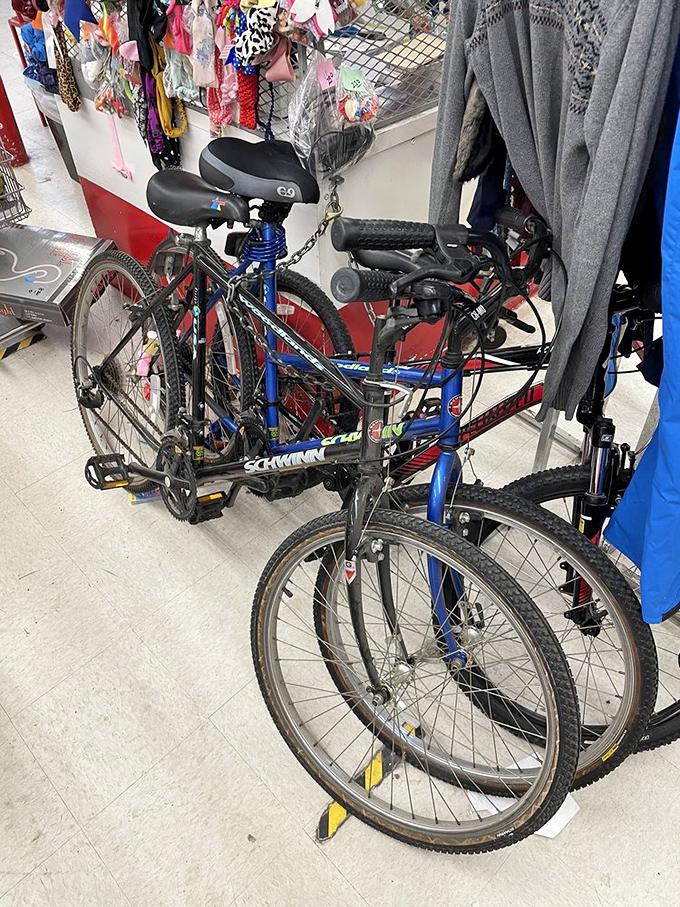 Even Schwinn bicycles find their way here - two-wheeled freedom machines waiting for new adventures on Chicago's lakefront path.