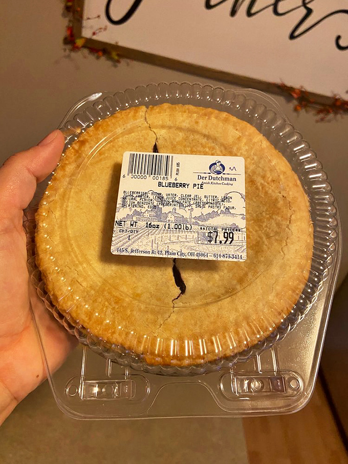Blueberry pie so honest it comes with its own ventilation crack&mdash;as if the berries inside needed to breathe before their grand entrance onto your plate.