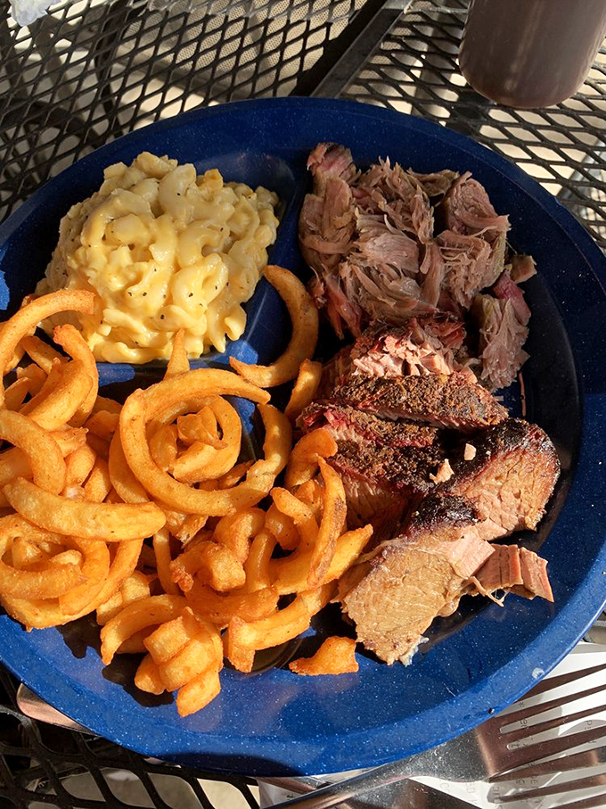The kind of plate that makes conversation stop mid-sentence. Curly fries, mac and cheese, and a meat medley that deserves its own documentary series.