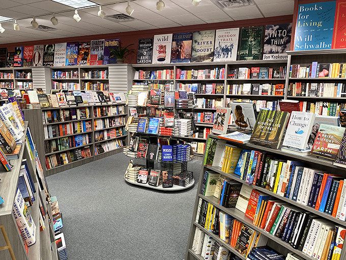 Shelves arranged with the precision of a Swiss watchmaker but the soul of a poet. Each book waits patiently for its perfect reader.